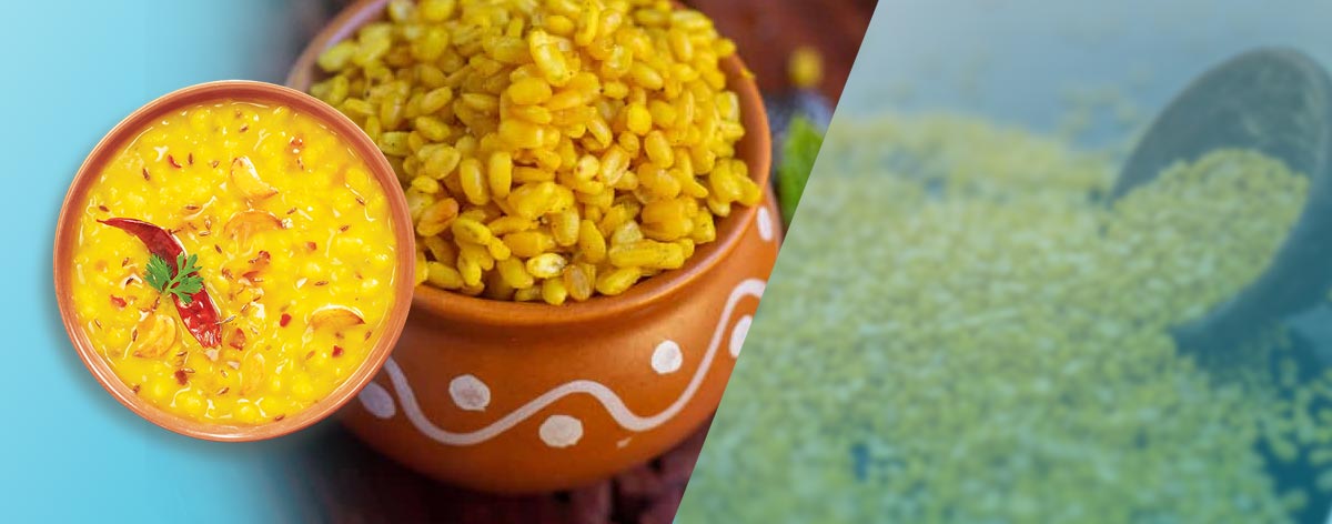 Premium-Quality-Dhall-Suppliers-Theni Thiruppathy Dhall Mill